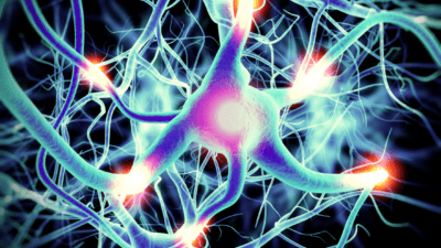 Different Types of Nerve Blocks for Pain Relief - Precision Spine Care